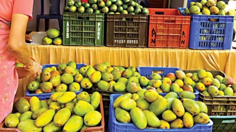 5 Best Mango Festivals in India